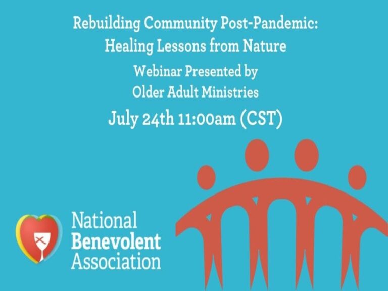 Rebuilding Community Post-Pandemic: Healing Lessons from Nature ...